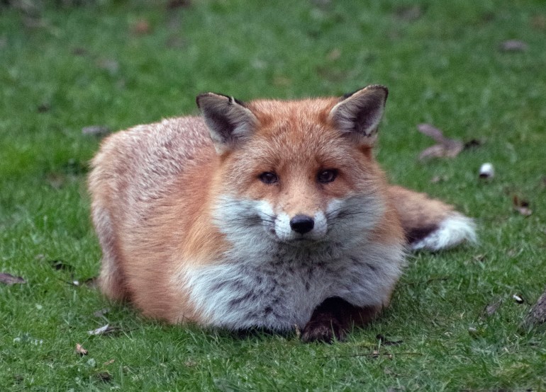 Scott K Marshall Photography (@skm1963) – developing my photography in ...